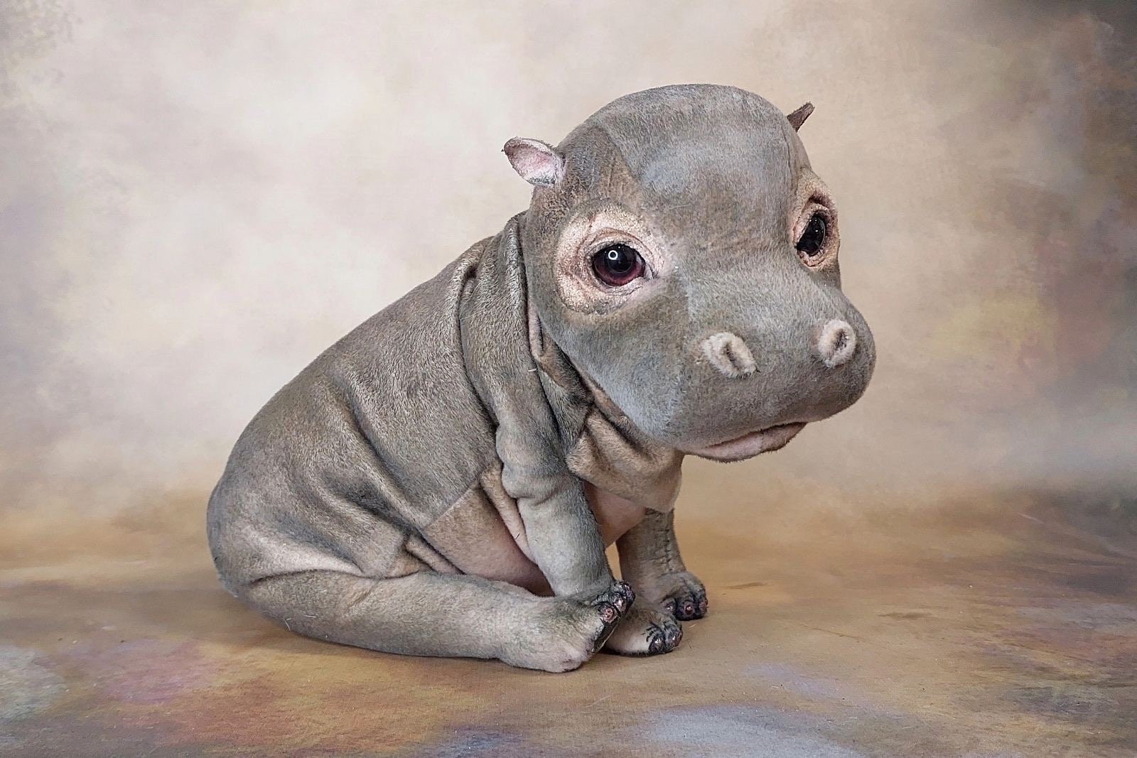 Digital Hippo Pattern - Etsy