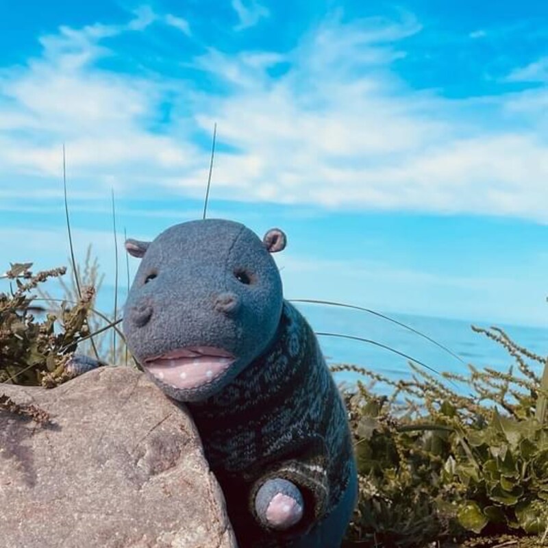 Hippo Pattern - Etsy