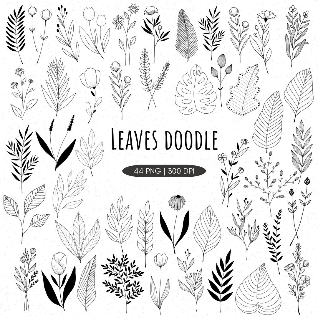 44 Floral Leaves Doodle | Png Digital Download | Clip Art Flower - Etsy
