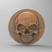 Detailed Skull 3D Model Realistic Human Anatomy Printable STL File for ...