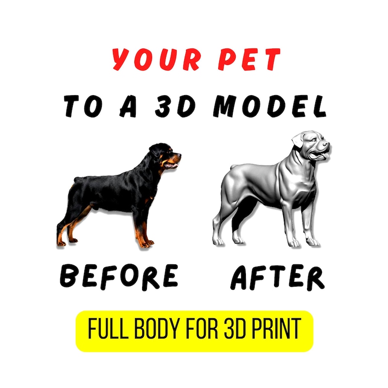 D and D Cat Prints - Etsy