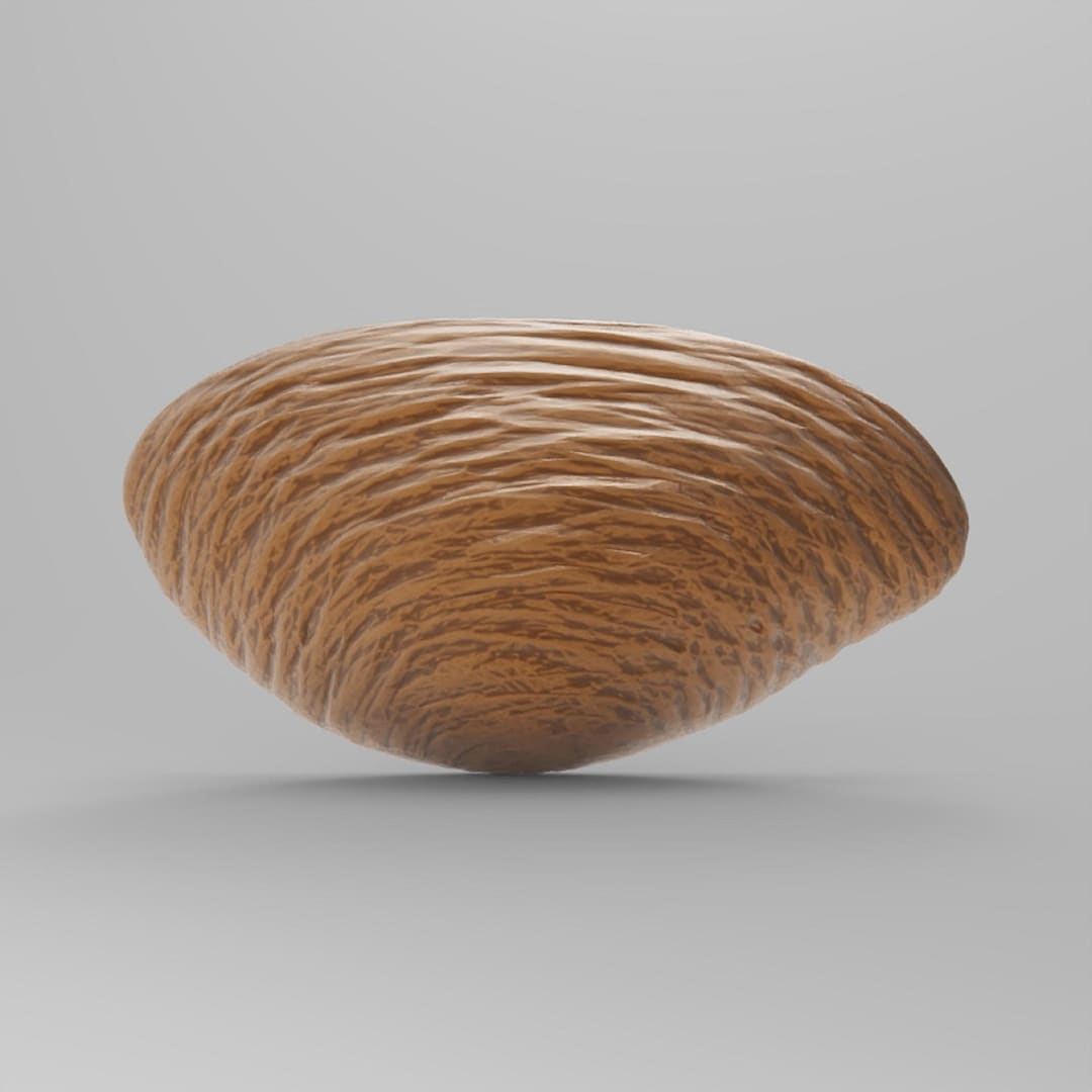 Wooden Textured Clam Shell 3D Model STL File for CNC Router 3D Printing ...