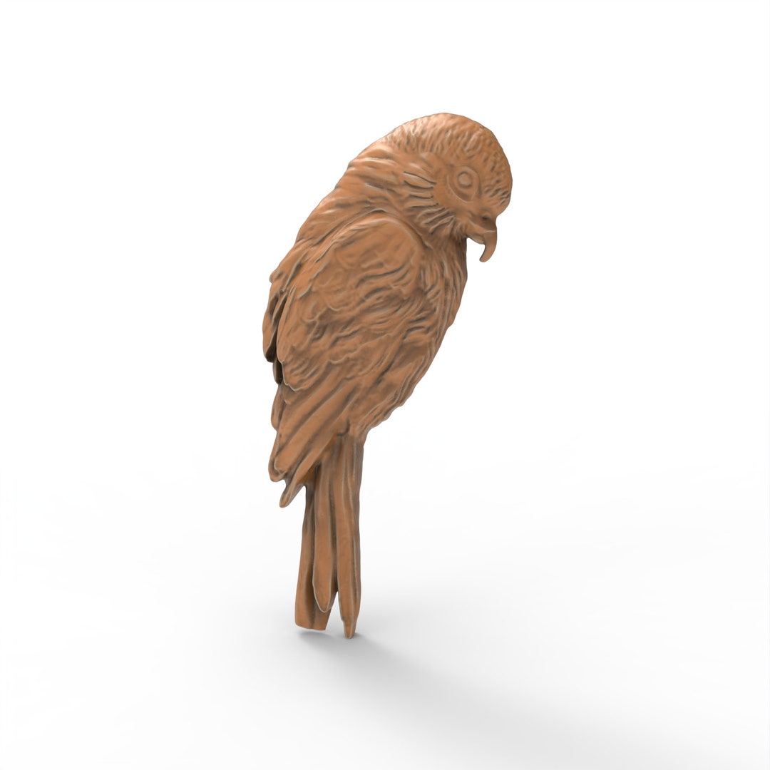 3D Printable Parrot Bird Sculpture Statue STL Files for CNC Router ...