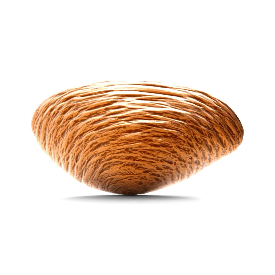 Wood Textured Clam Shell 3D Model STL File for CNC Router 3D Printing ...