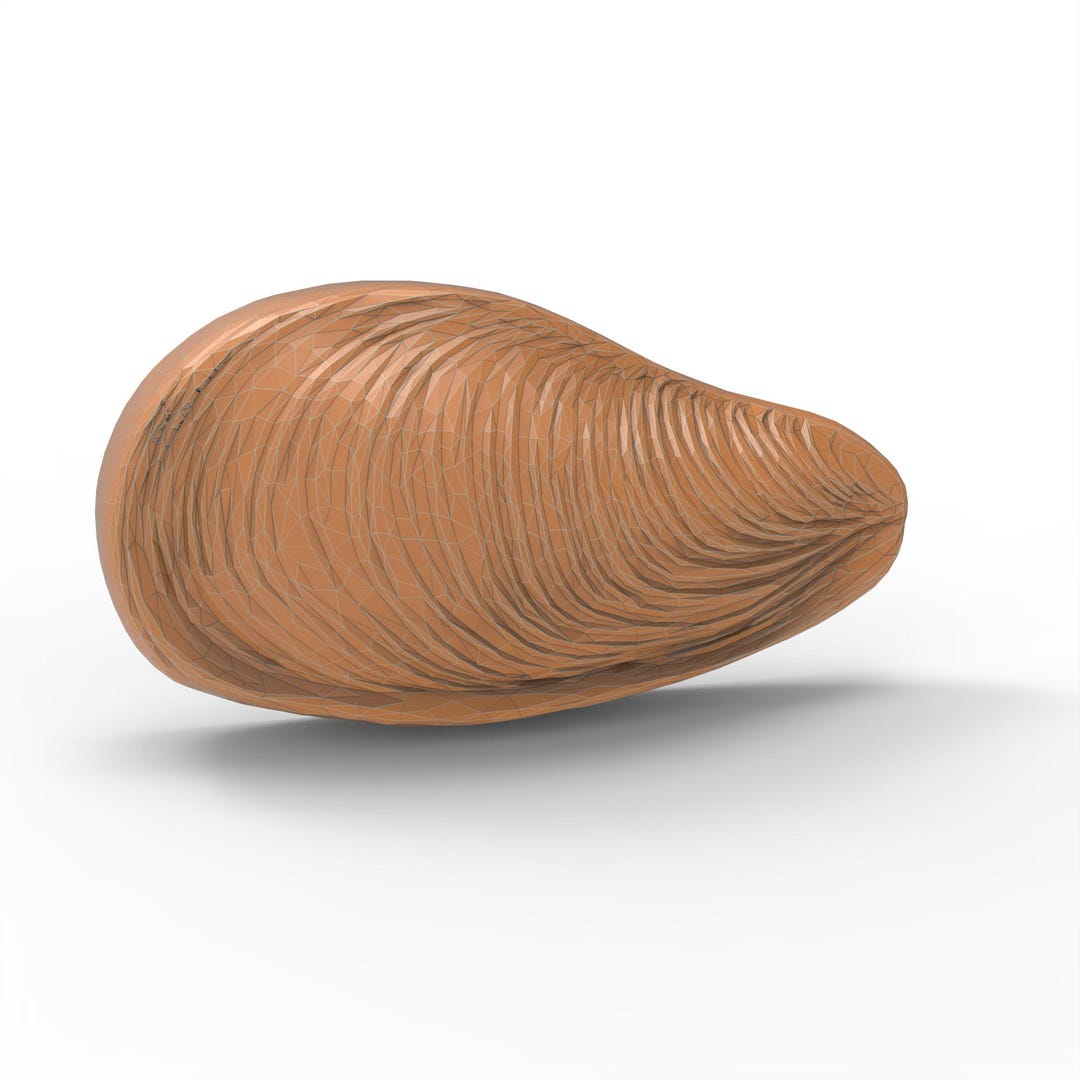 Clam Shell 3D Model STL File for CNC Router 3D Printing Laser Engraving ...