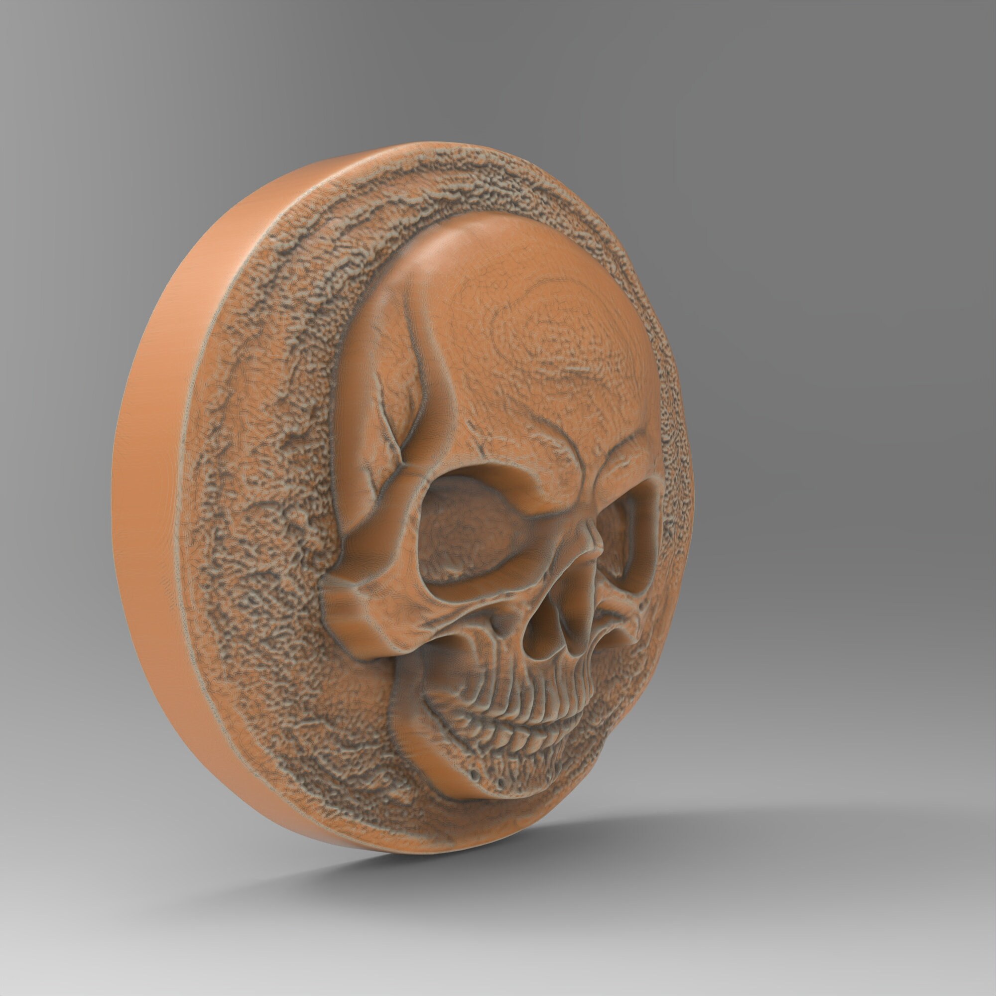 Detailed Skull 3D Model Realistic Human Anatomy Printable STL File for ...