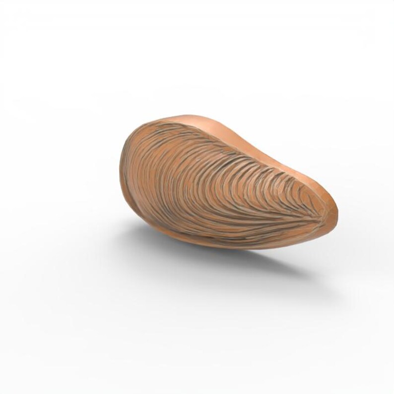 Clam Shell 3D Model STL File for CNC Router 3D Printing Laser Engraving ...