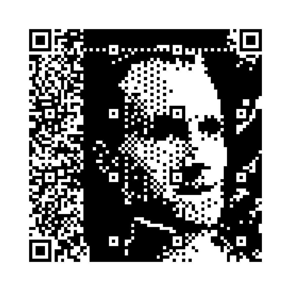 Custom QR Codes - CUSTOM Pixels/image Embedded - Etsy