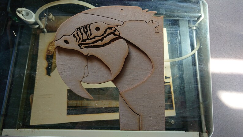 Parrot Laser Cut File Svg - Etsy