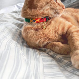 A Tail We Could Wag Rasta Cat Collar With Breakaway Buckle - Etsy