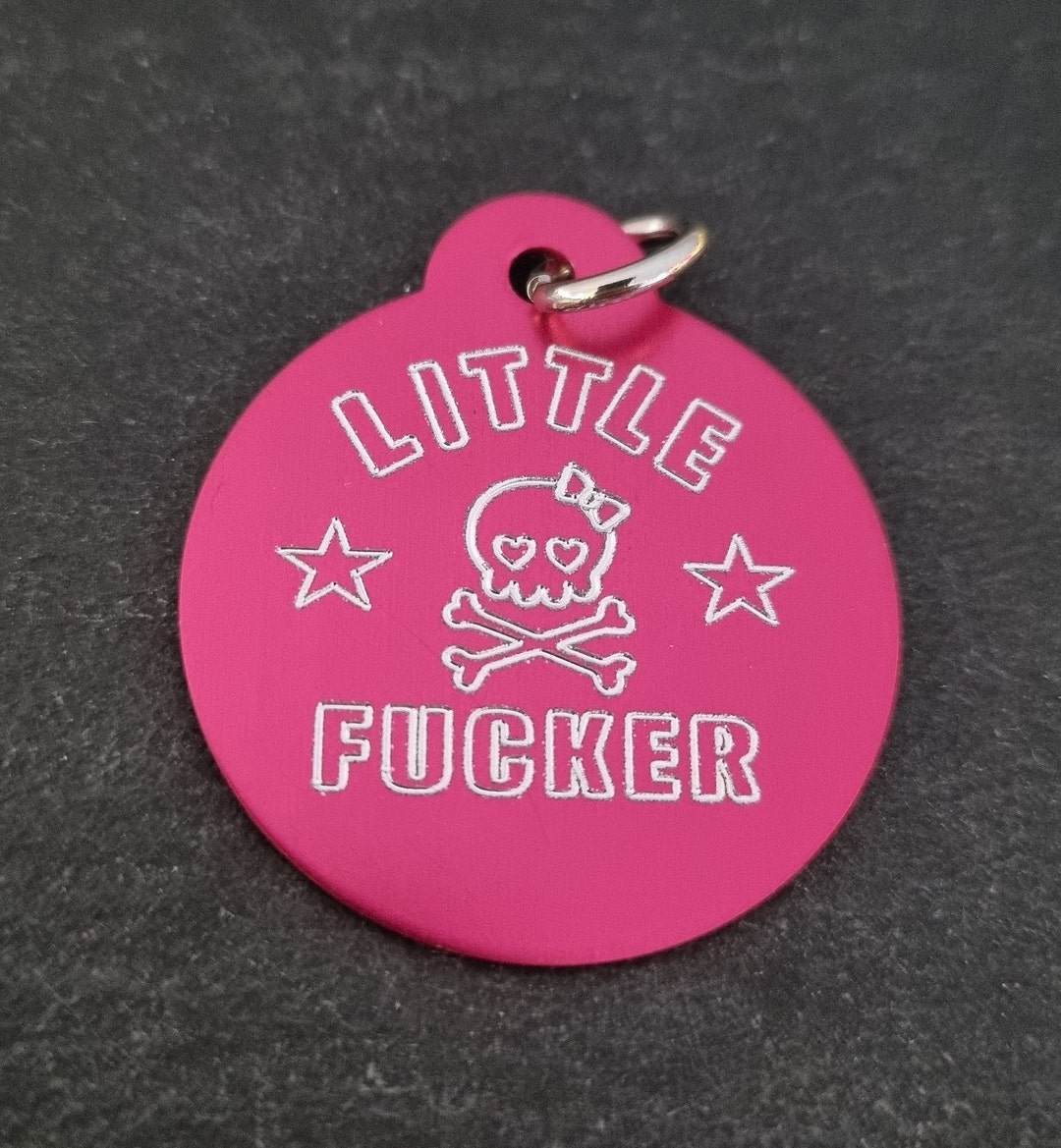 Funny Dog Tag or Cat ID Name Tag little Fcker Aluminum Personalized ...