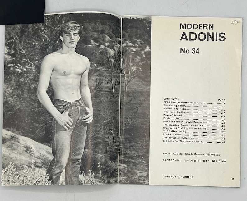 Modern Adonis No. 34 Adult/gay/beefcake/gay Art/gay Interest/gay ...