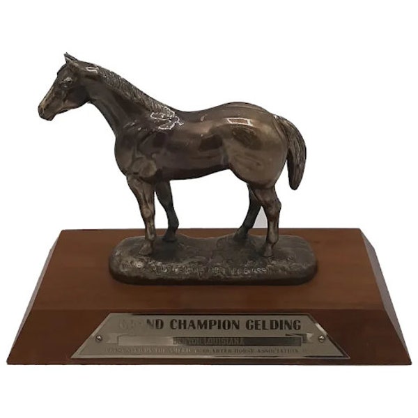 Horse Trophy - Etsy