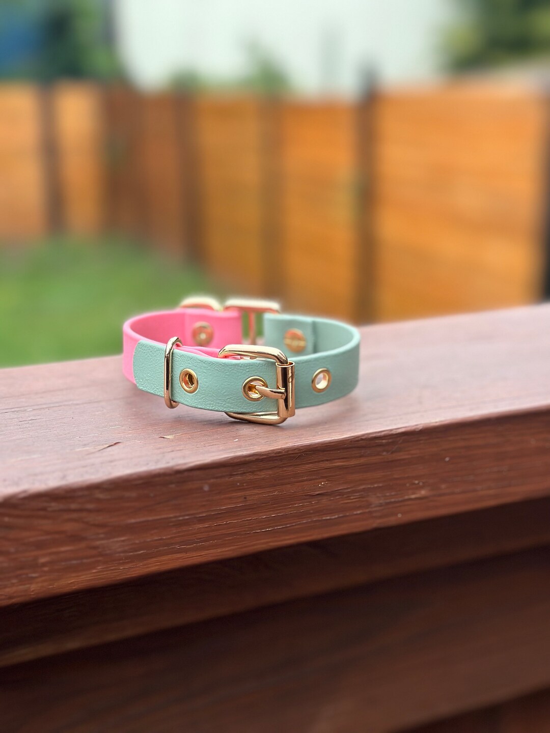 Pre-made Biothane Dog Gear - Etsy