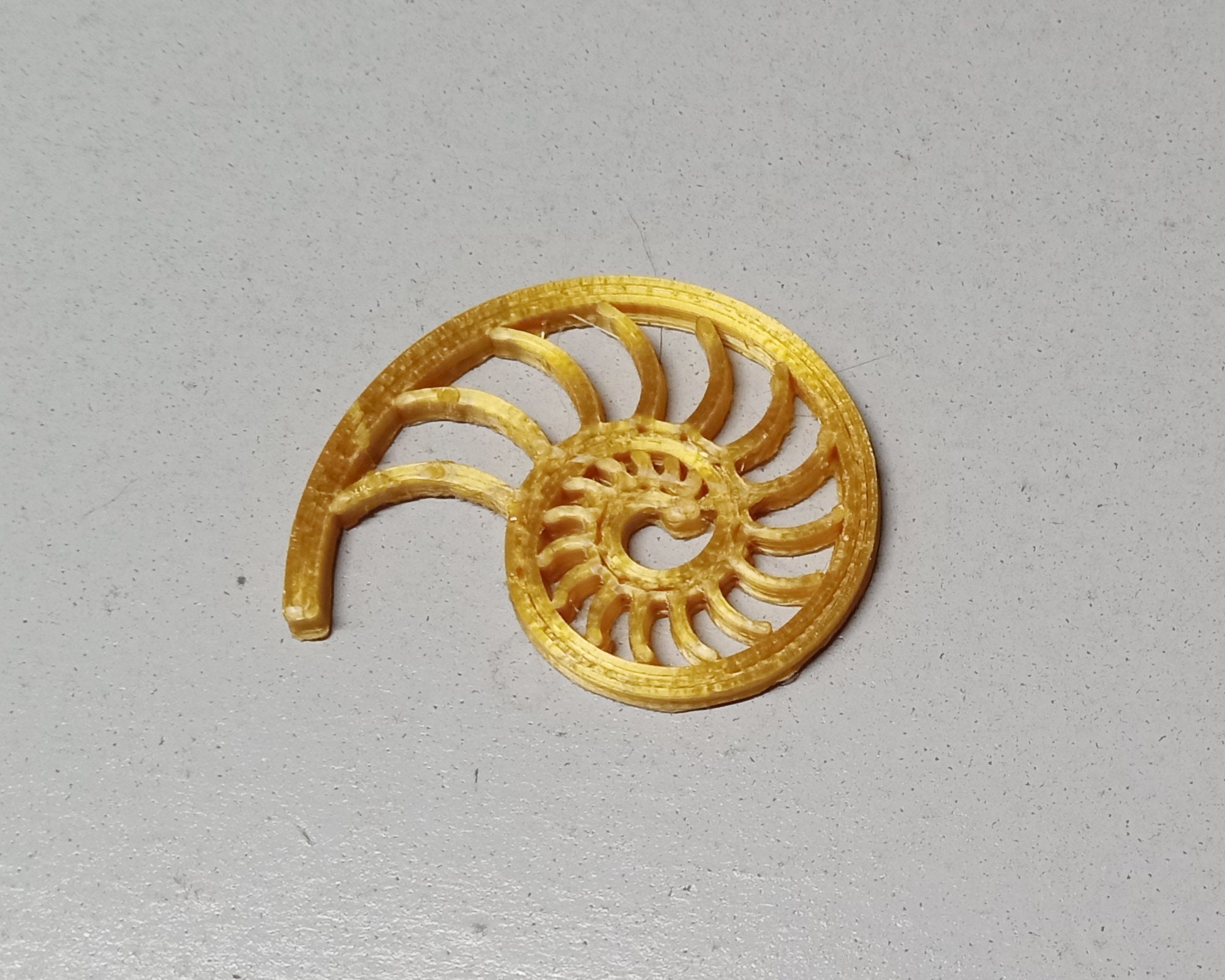3D Printed Nautilus Shell Slice Coaster Wall Hanging Home - Etsy