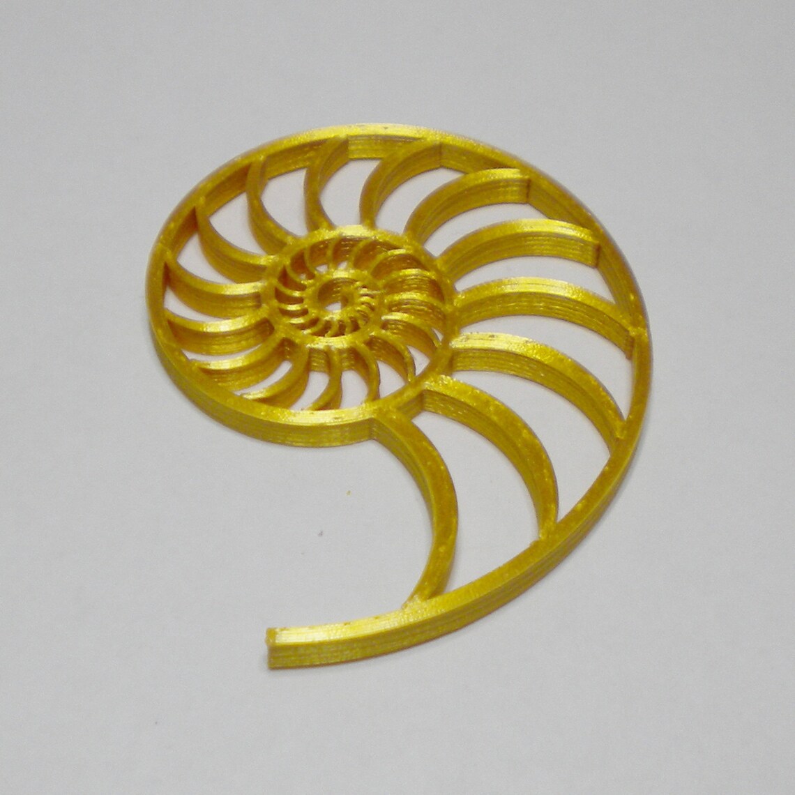 3D Printed Nautilus Shell Slice Coaster Wall Hanging Home Office ...