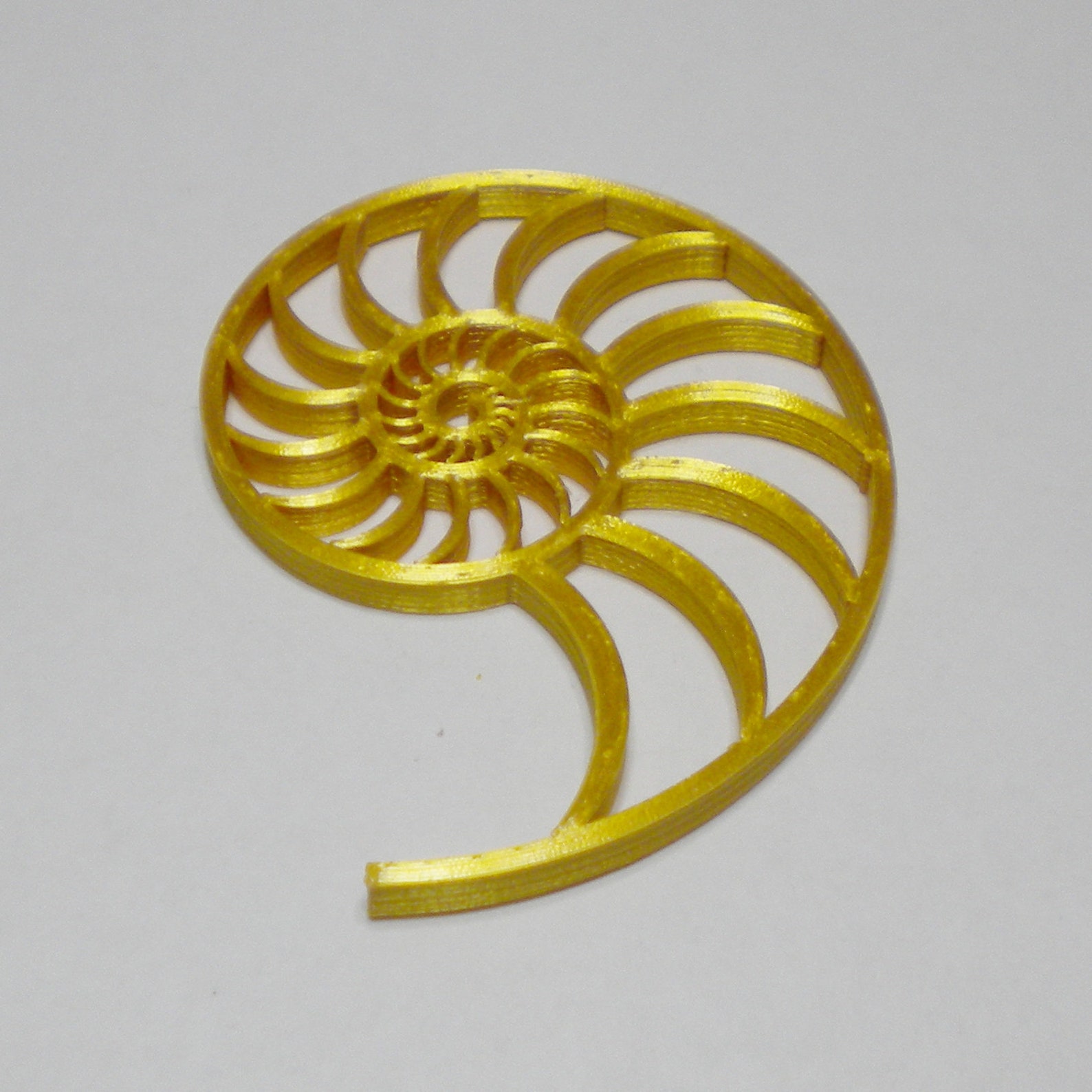 3D Printed Nautilus Shell Slice Coaster Wall Hanging Home - Etsy