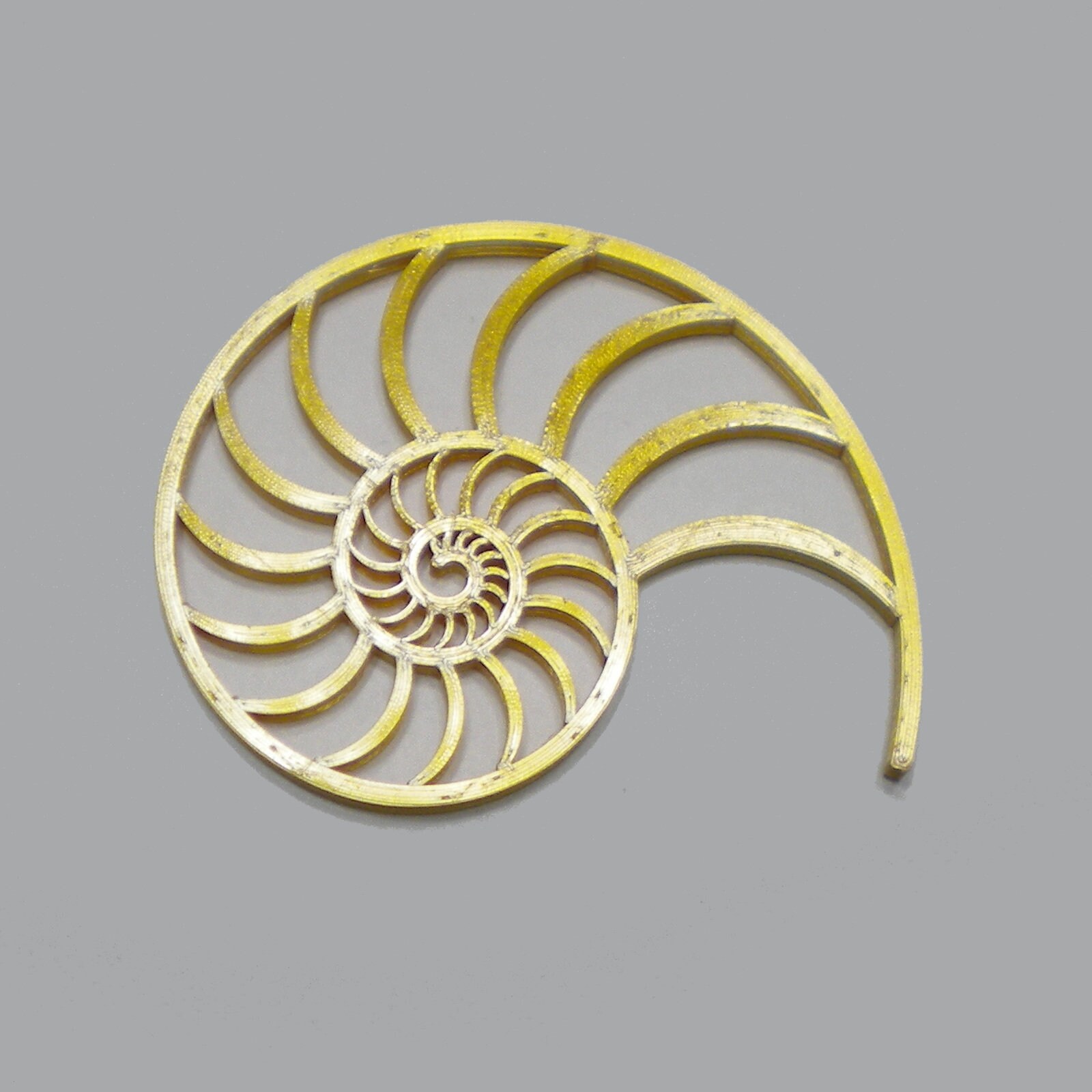 3D Printed Nautilus Shell Slice Coaster Wall Hanging Home Office ...