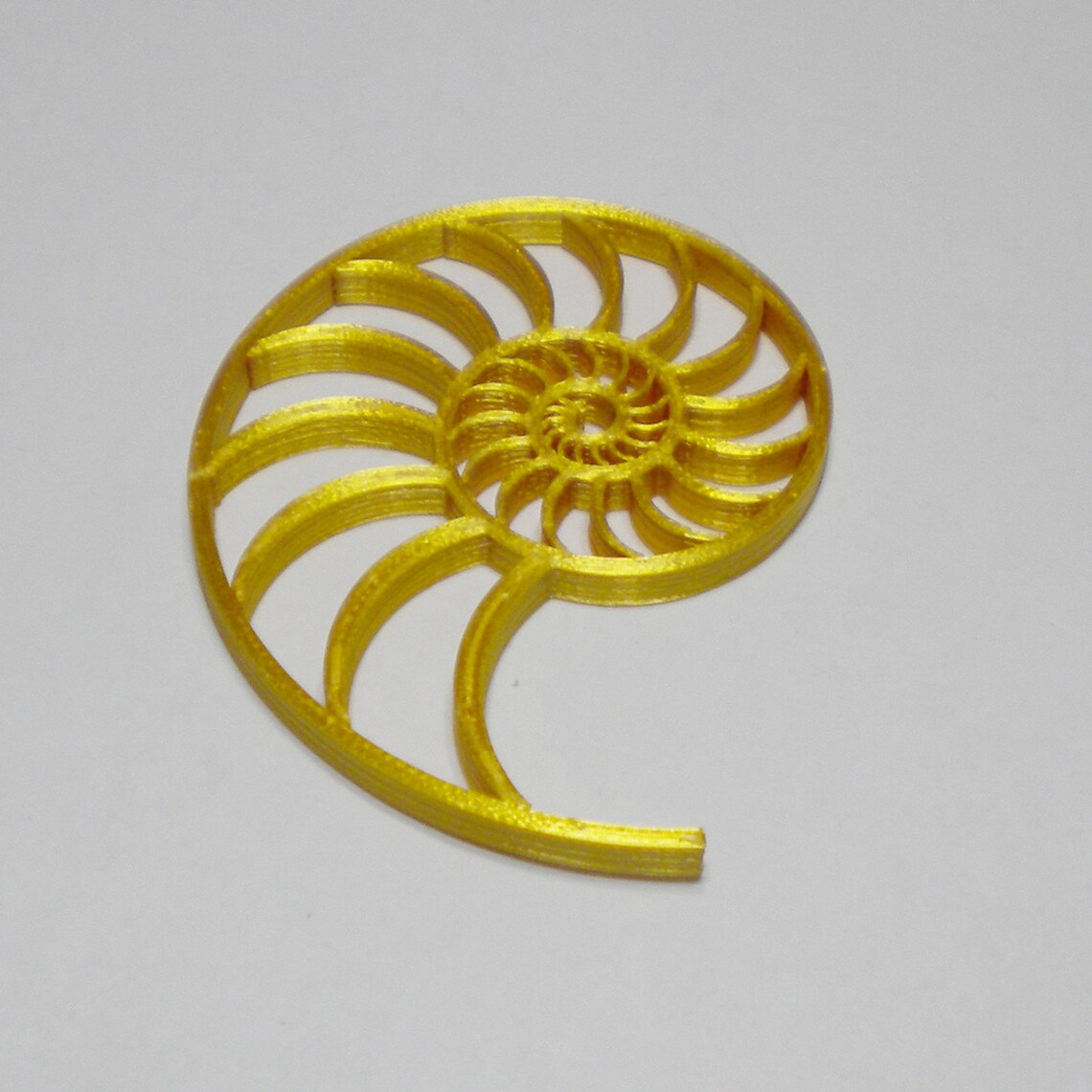 3D Printed Nautilus Shell Slice Coaster Wall Hanging Home - Etsy