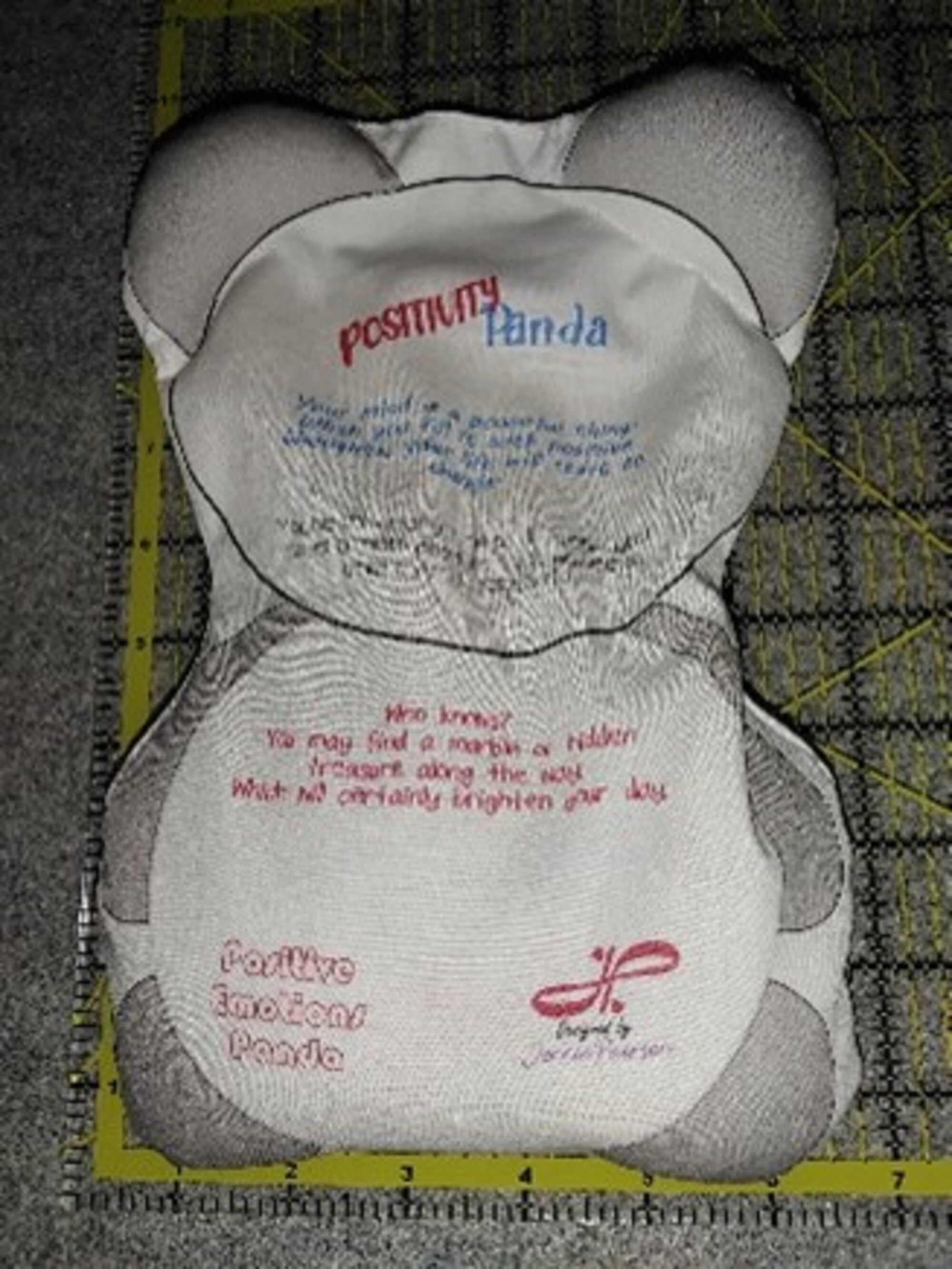 Positivity Panda Doll, Sensory Toy, Emotions Doll, Hidden Objects ...