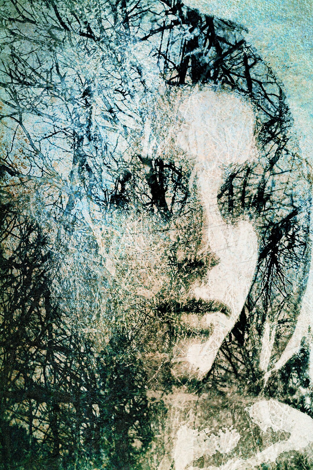 SPIRIT ORIGINS | Ghost Face in the Trees | Mystical Forest Spirit Art ...