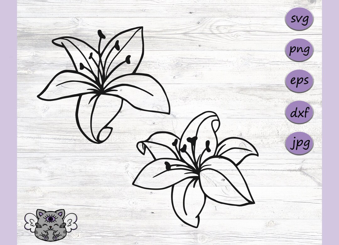 Lily flower cut file, stargazer lily svg, lily clipart, tiger lily ...