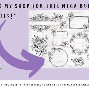 Lily Frame Svg, Stargazer Lily Embroidery, Tiger Lily Cutfile, Jpeg ...