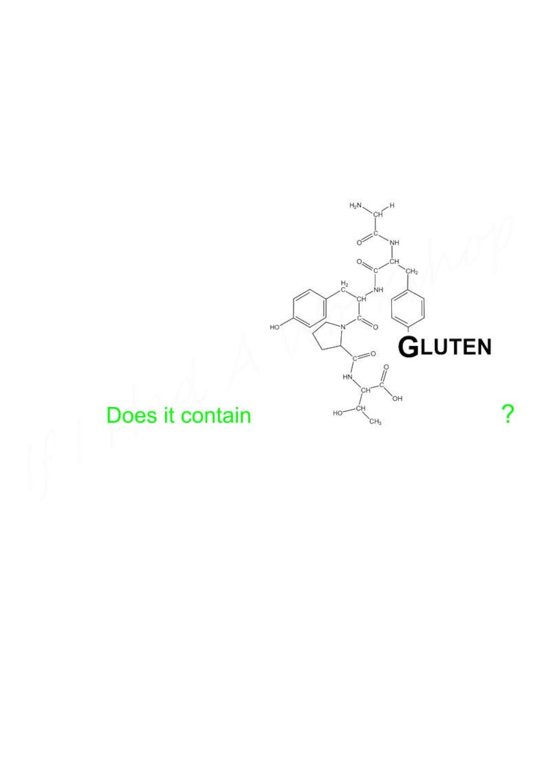 Gluten Structure