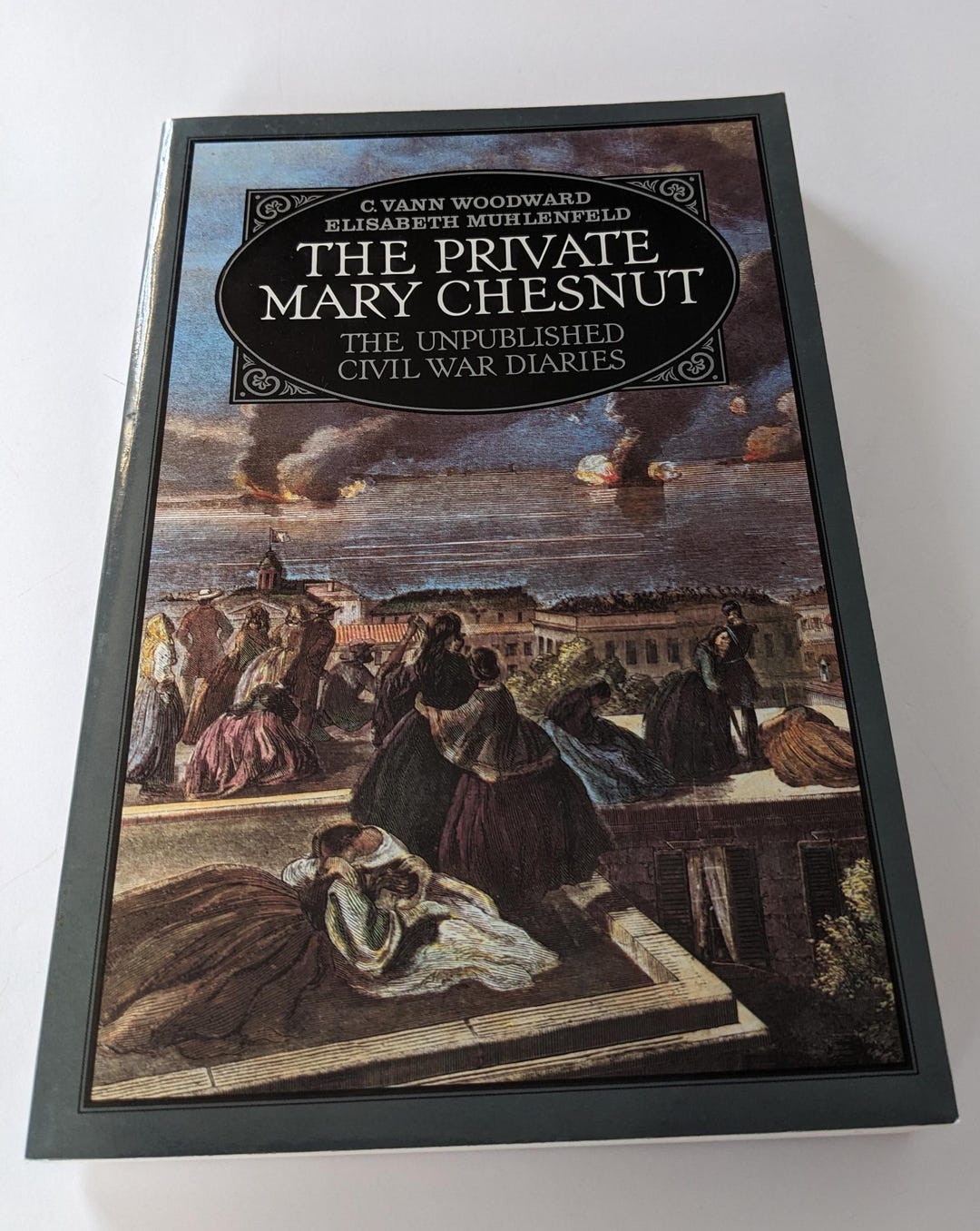 The Private Mary Chestnut- Civil War Diaries- the South in the Civil ...