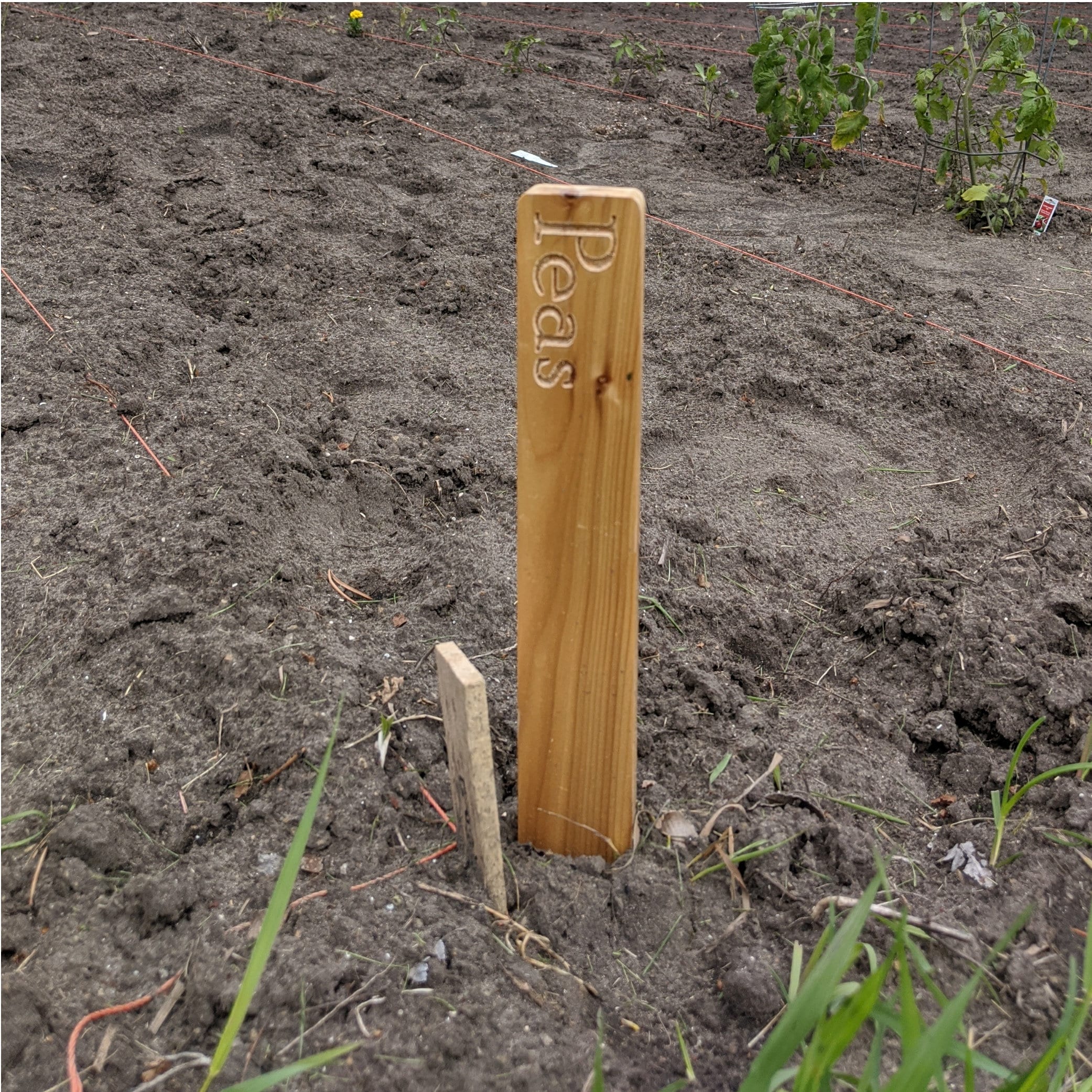 Garden Stick 10 Pack - Etsy