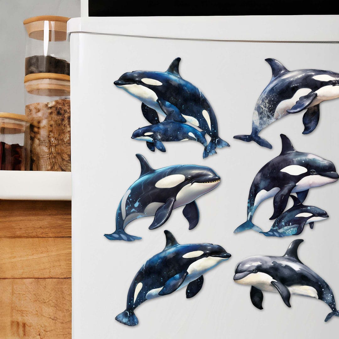 Majestic Orcas Magnets - Wildlife Decor - Gift Set of 6 - 8090102G-S6 ...
