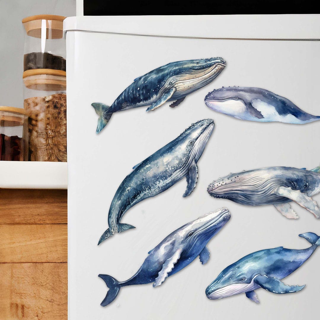 Humpback Whale Magnet Gift Set of 6 - Coastal Wildlife Decor - 8090103G ...