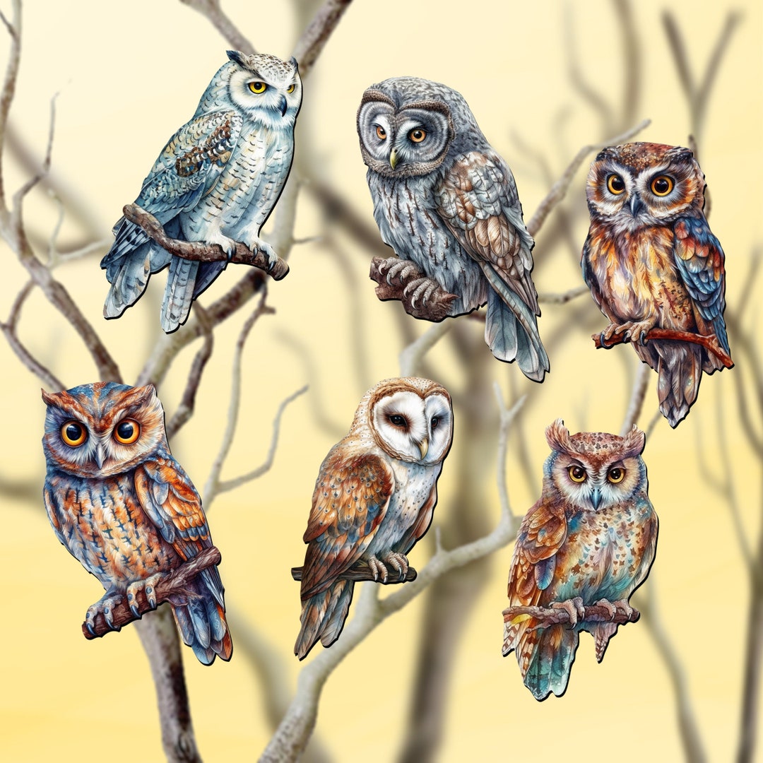 Owl Birds Clip-on Ornaments Set of 6 Colorful Set Holiday Cheers ...