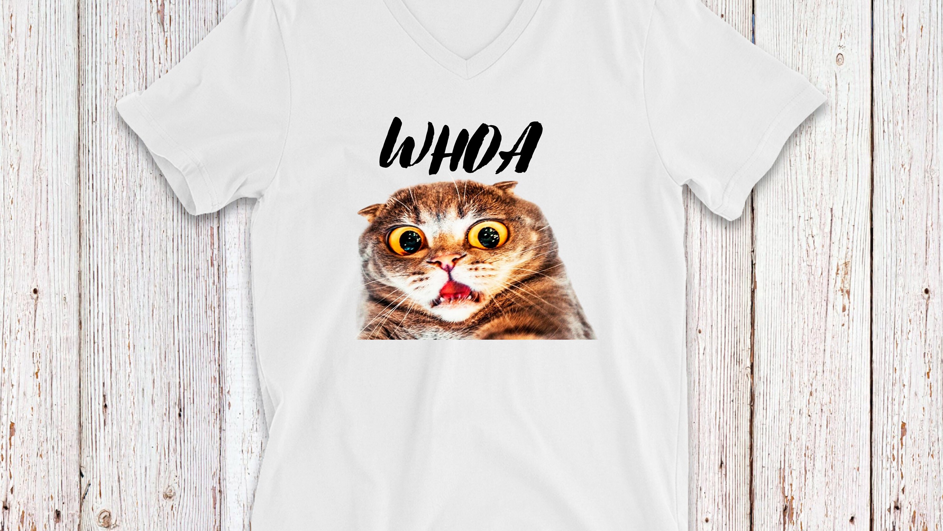 Whoa cat Funny cat scared cat Fade Resistant High | Etsy