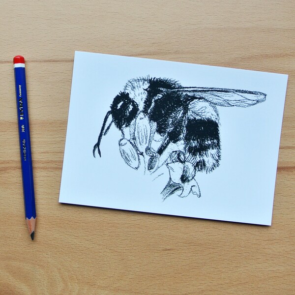 Bee Drawing - Etsy UK