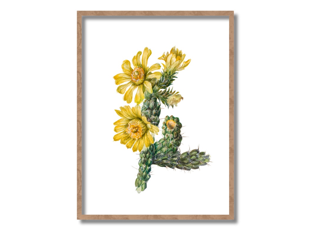 Whipple Cholla Cactus Printable Wallart, Botany Poster, Cactus Poster ...