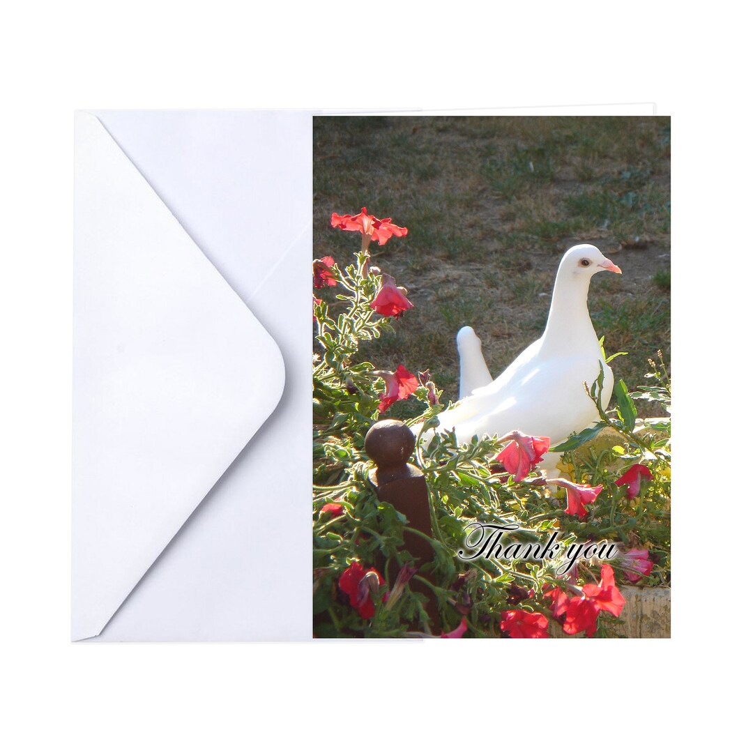 Funeral Memorial Service Thank You Cards With Envelopes (25 Count)white ...