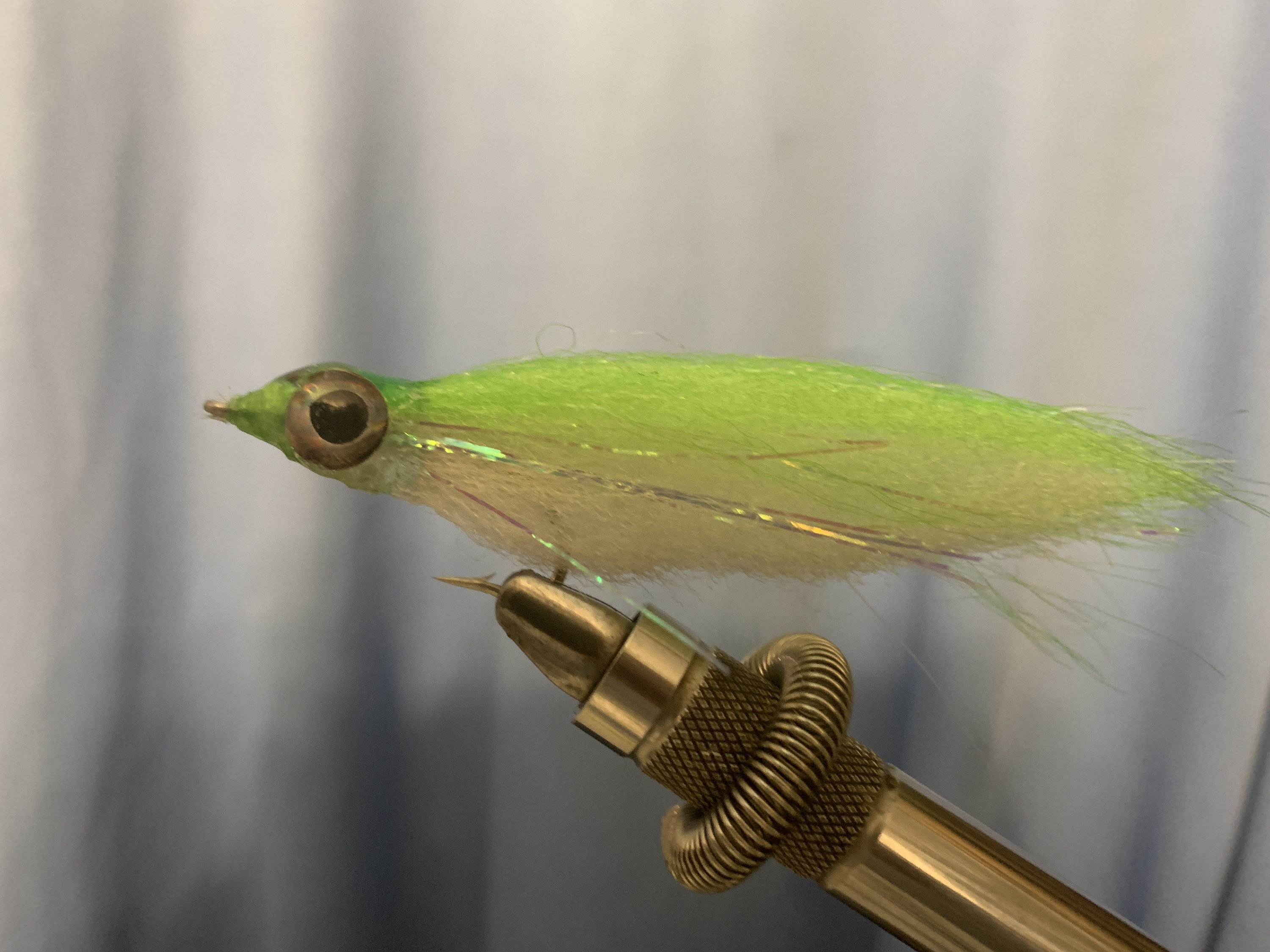 Two Greenback Scaled Sardine - Etsy