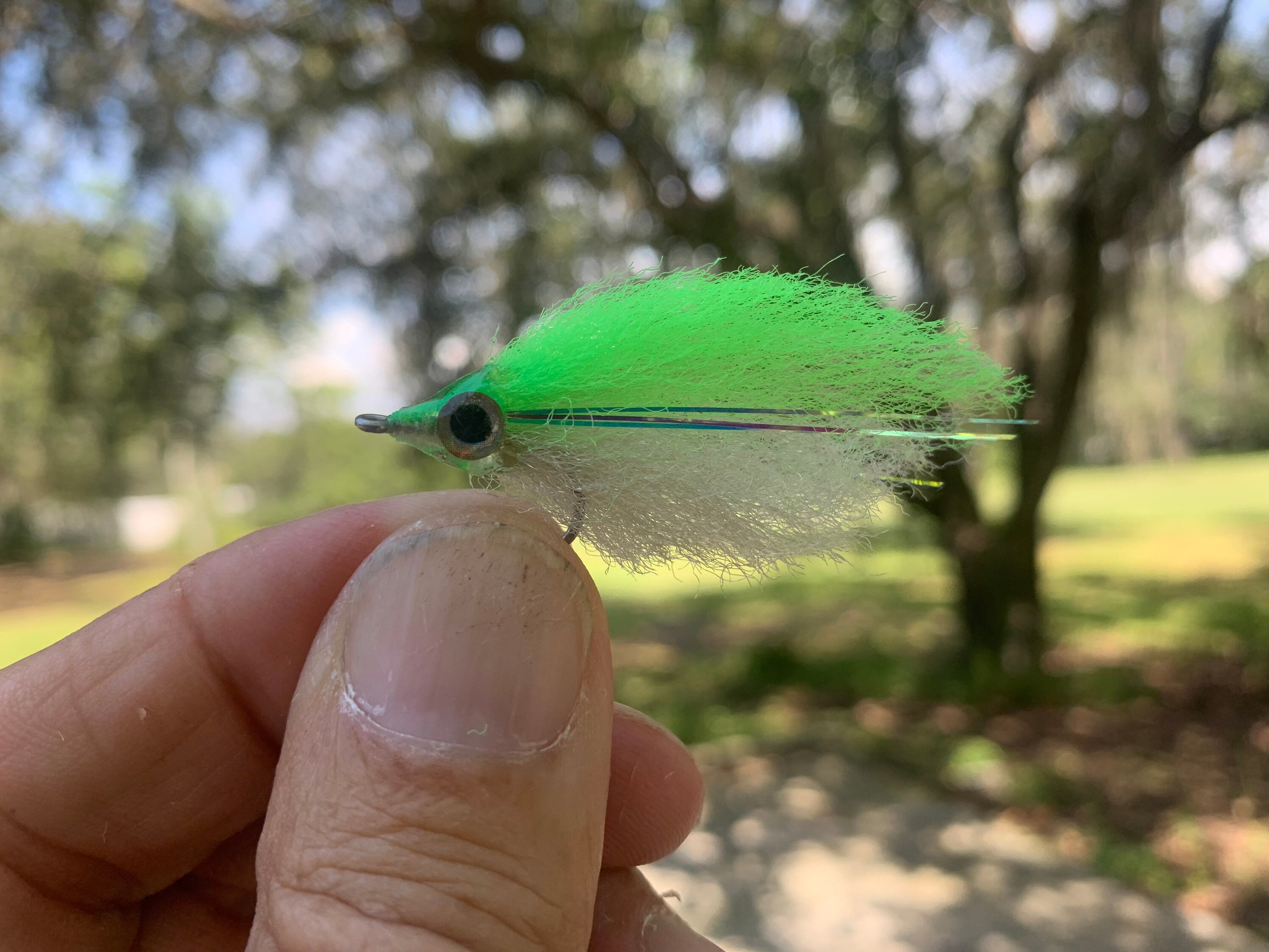 Two Greenback Scaled Sardine - Etsy