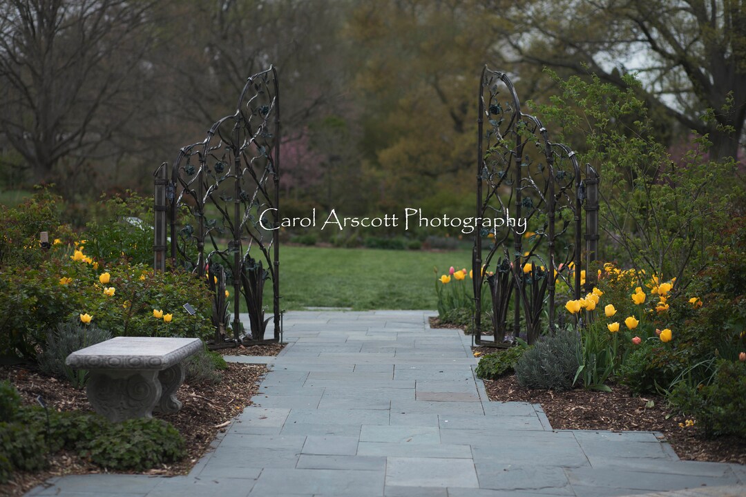 Park Gate Digital Backdrop Background - Etsy