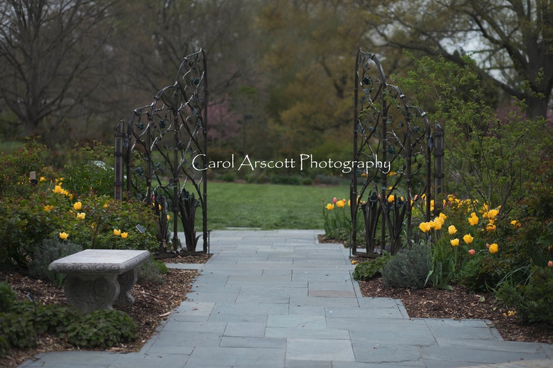 Park Gate Digital Backdrop Background - Etsy