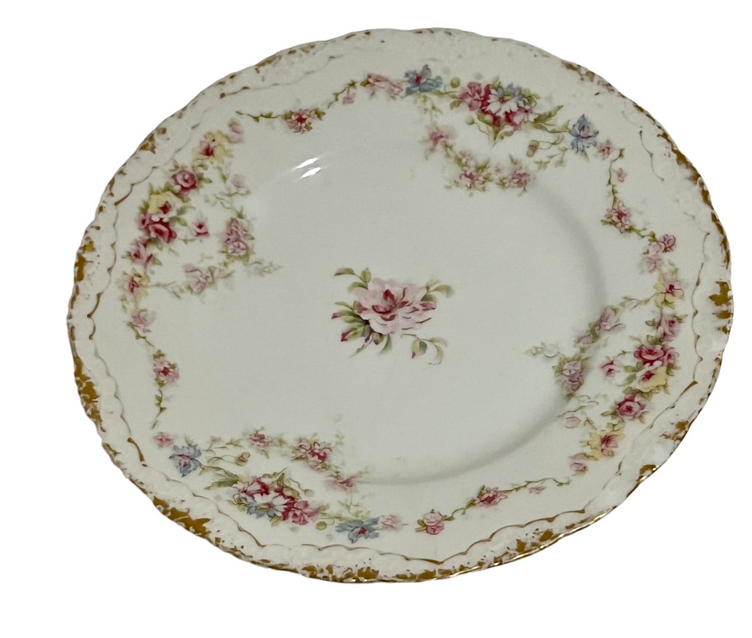 Haviland Dimoges Plate Made for John Wanamaker - Etsy