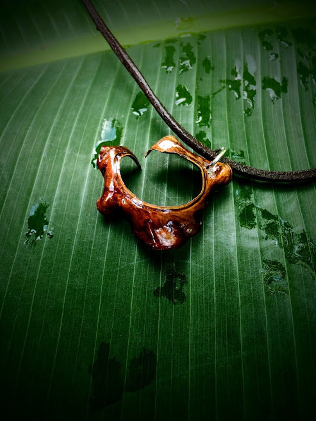 Acacia Seed Pod Necklace #2, Seeds, Natural Jewelry, Pendants, Seed ...