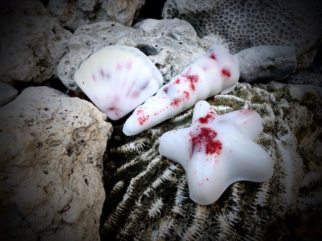 Morgan Le Fay Seashell Melts (set of 3), Fairy Goddess, Goddess Candles ...