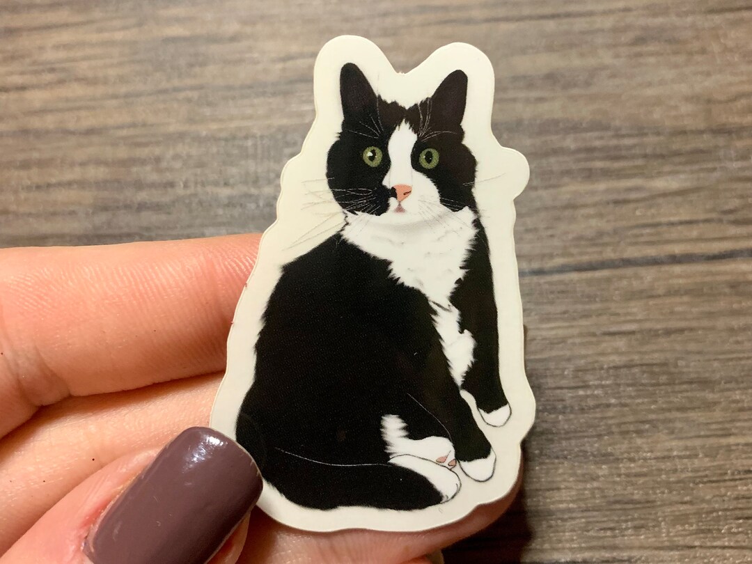 3 Pack Tuxedo Cat Stickers - Etsy