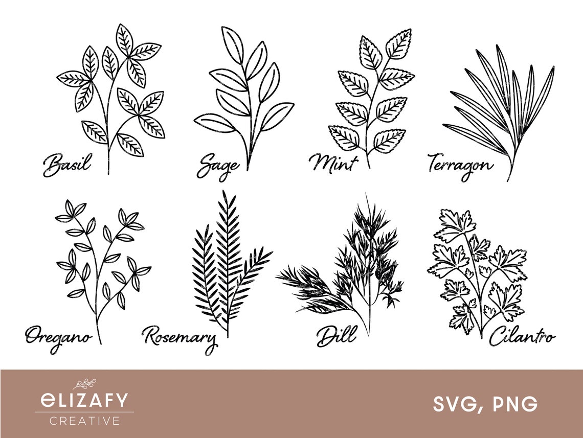 Herb SVG Bundle | Herb Garden SVG | Gardening Stake Labels Svg | Herb ...