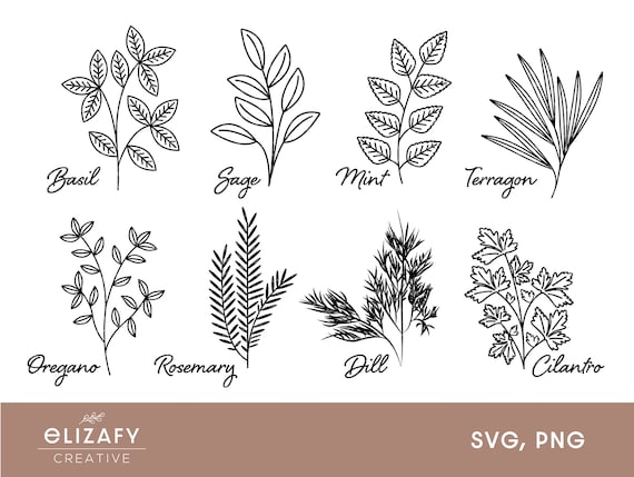 Herb SVG Bundle Herb Garden SVG Gardening Stake Labels Svg | Etsy Canada