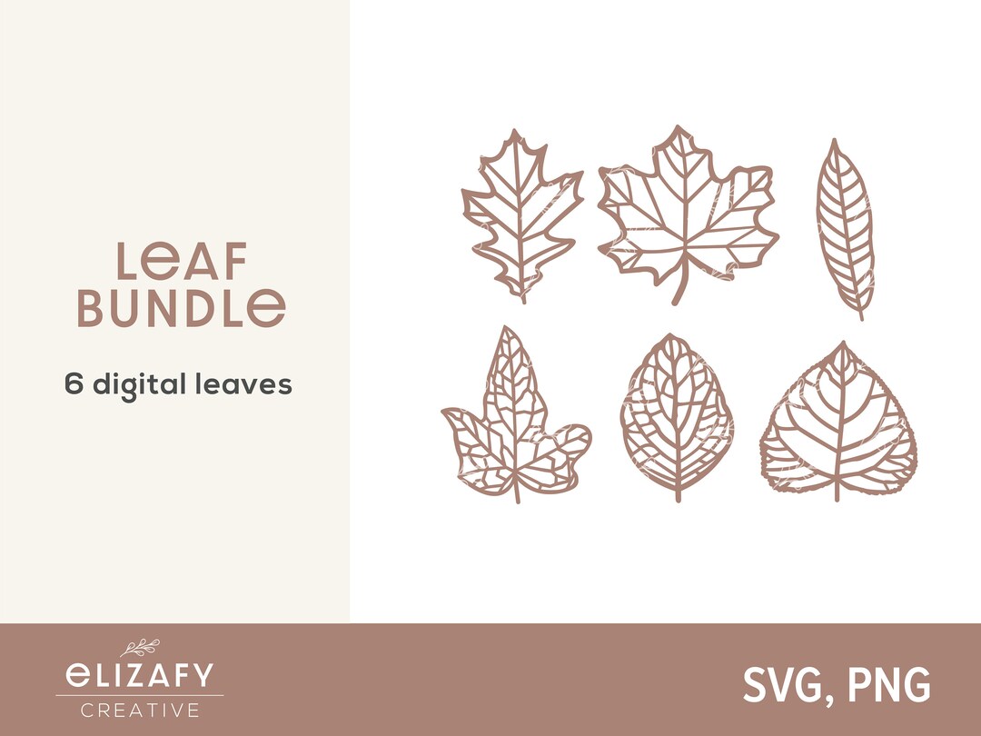 Leaf Bundle SVG Leaf SVG Leaves Svg Fall Leaf Bundle Skeleton Leaf Svg ...