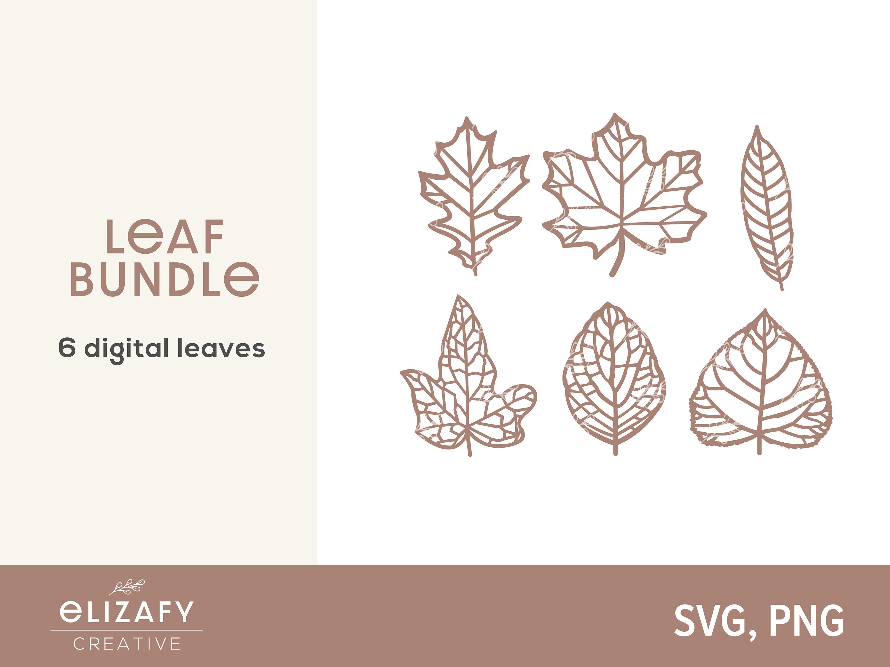 Leaf Bundle SVG Leaf SVG Leaves Svg Fall Leaf Bundle Skeleton Leaf Svg ...