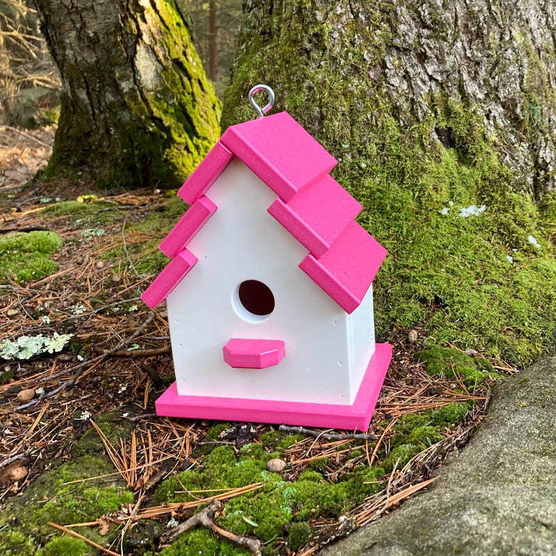 Pink Birdhouse - Etsy